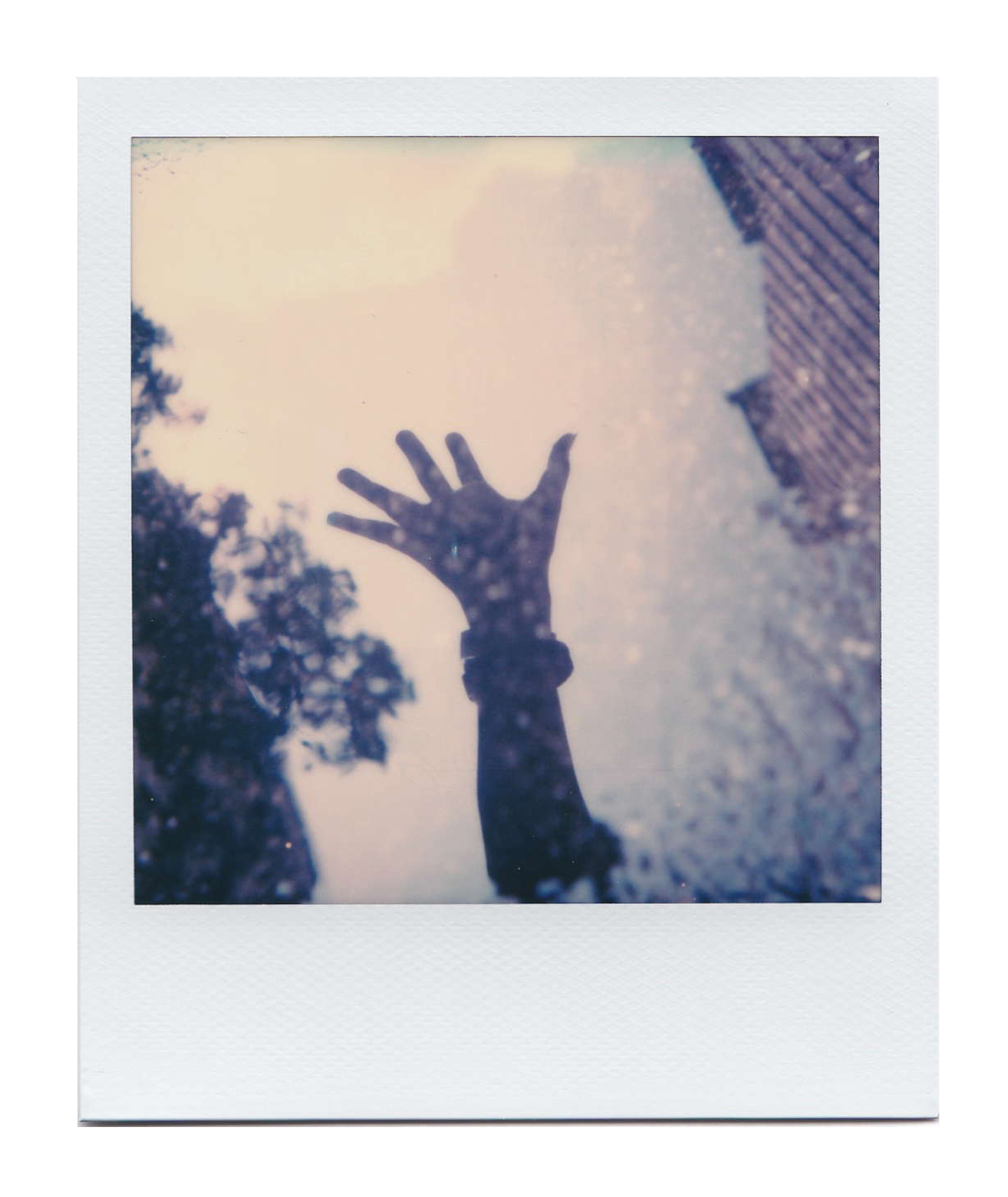 Hand Reflection – Catherine Costanzo