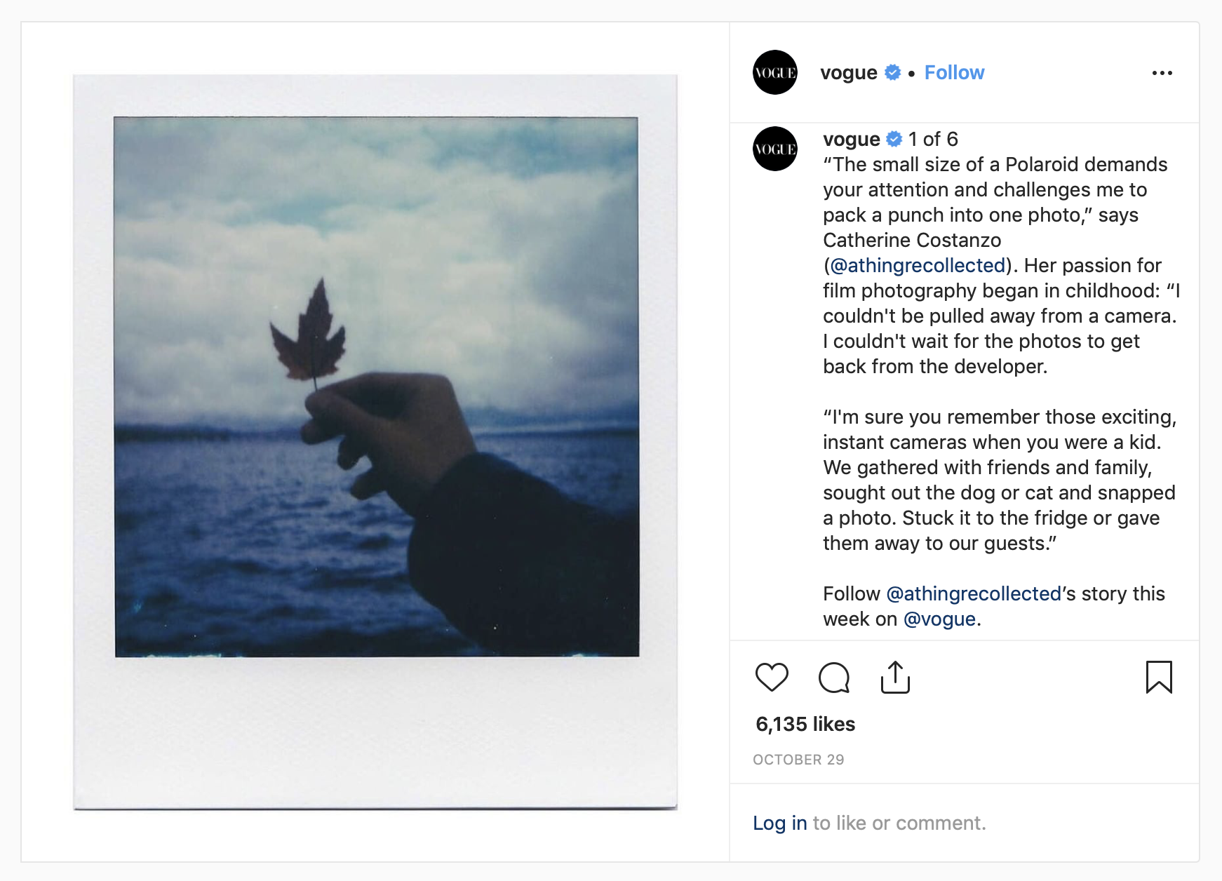 Interview with Vogue International for Instagram – Catherine Costanzo